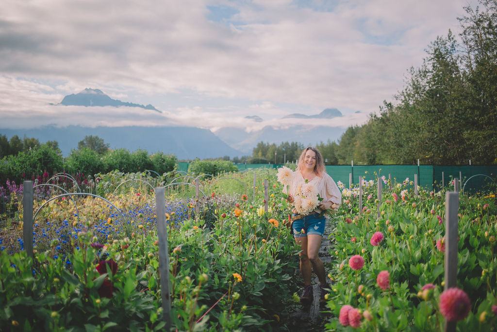 Alaska Flower Farm Photographer Contest | Seasonal Alaska Grown Dahlia ...